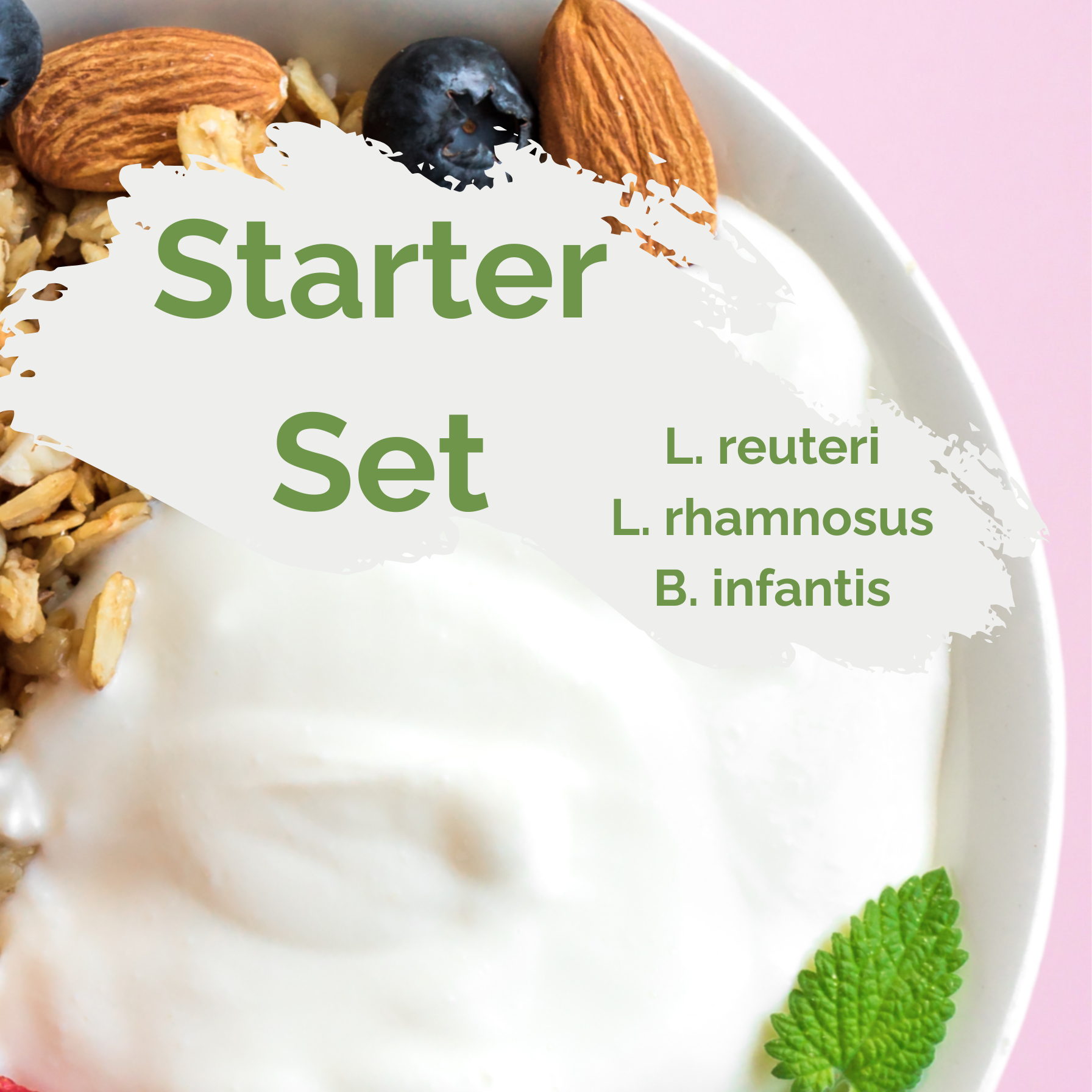 Cómo reconstruir tu microbioma con especies perdidas – Yogur casero co ...